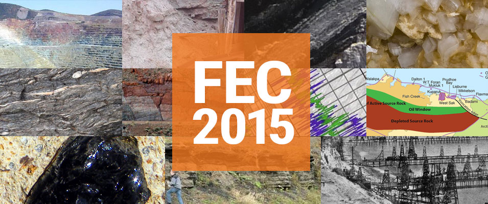 Have You Checked Out the FEC Slate of Courses Yet?