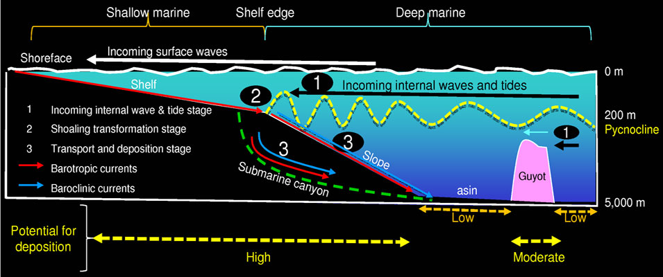 Modern internal waves and internal tides along oceanic pycnoclines ...