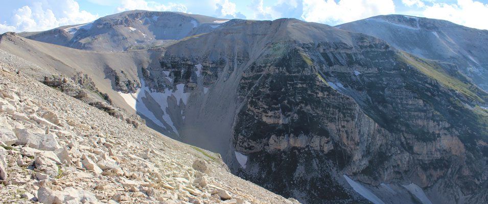 Complex Carbonate Reservoirs: Sedimentation and Tectonic Processes ...