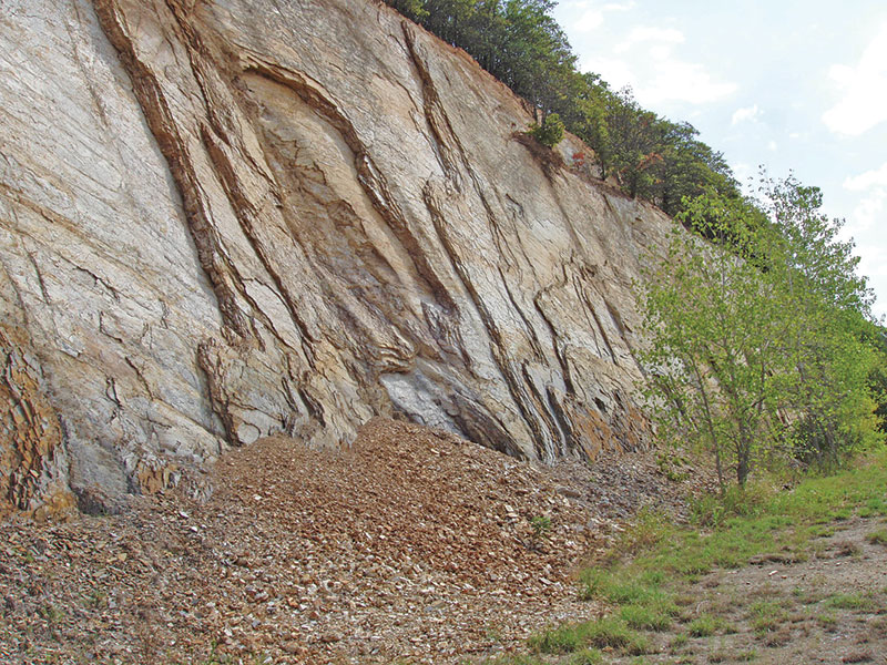 Shale Gas Rock